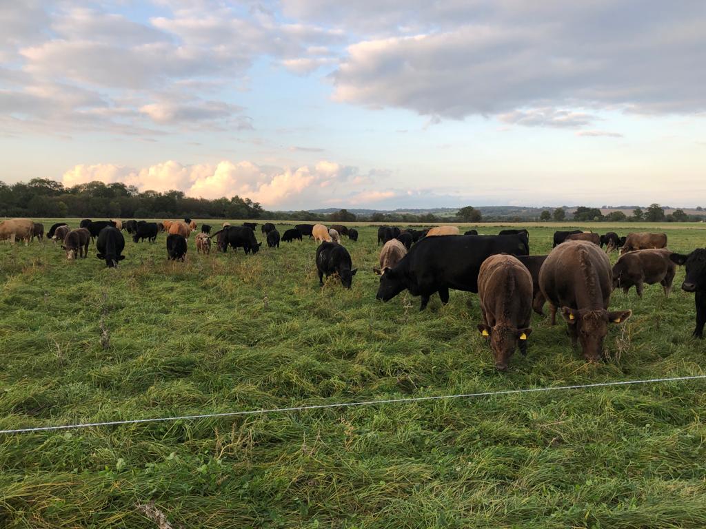 Lowering risk by managing holistically