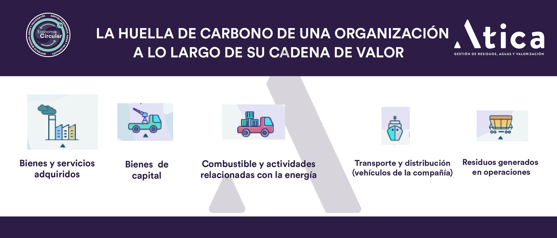 Como mitigar la huella de carbono en tu empresa Colombia