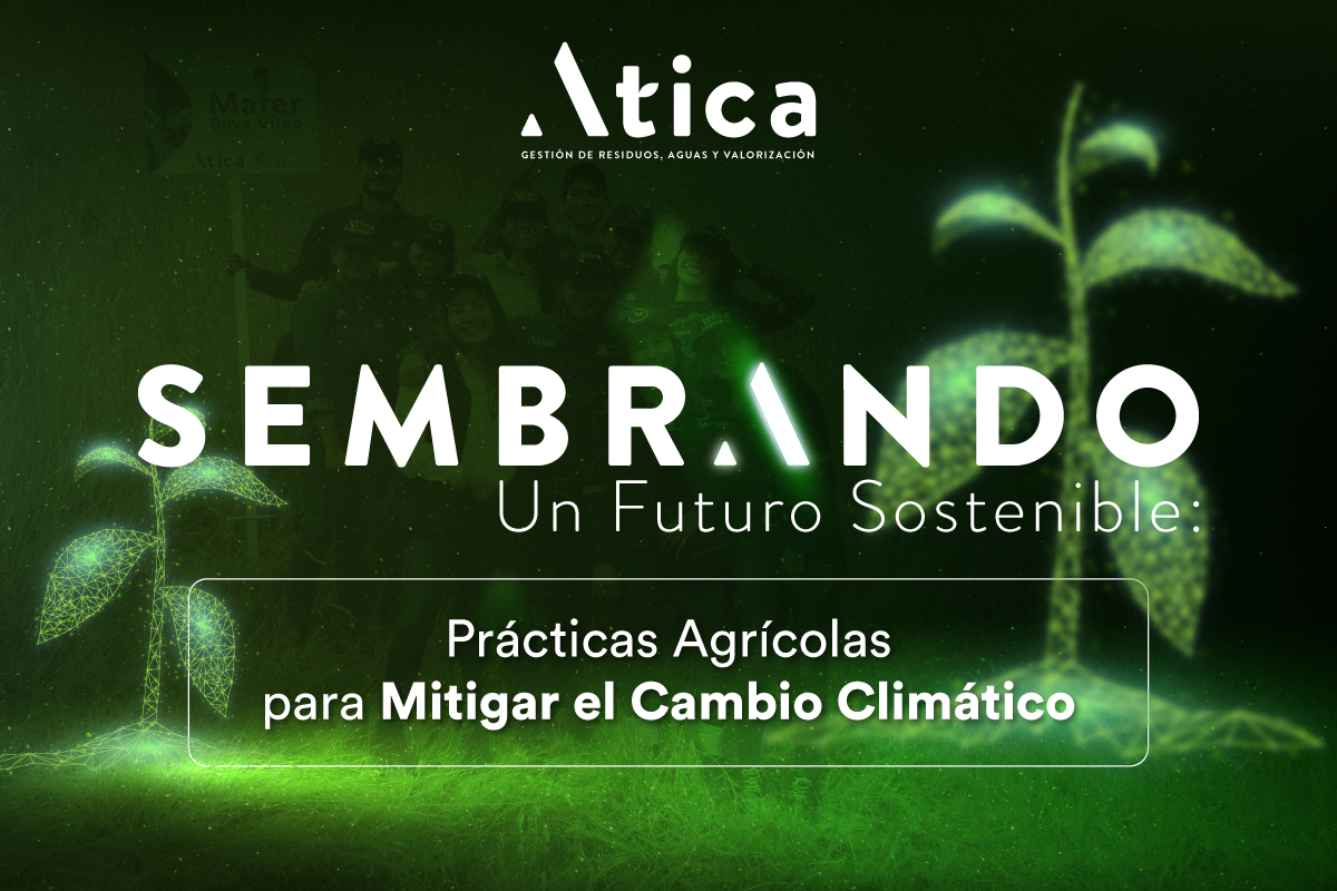 Sembrando un Futuro Sostenible: Prácticas Agrícolas para Mitigar el Cambio Climático