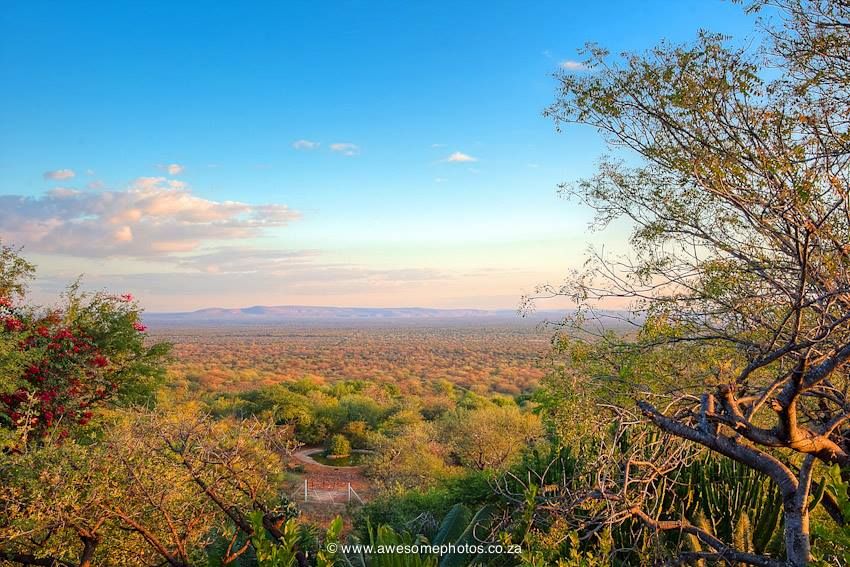 Ehlathini Game Lodge - Bow Hunt South Africa - Live the Dream!
