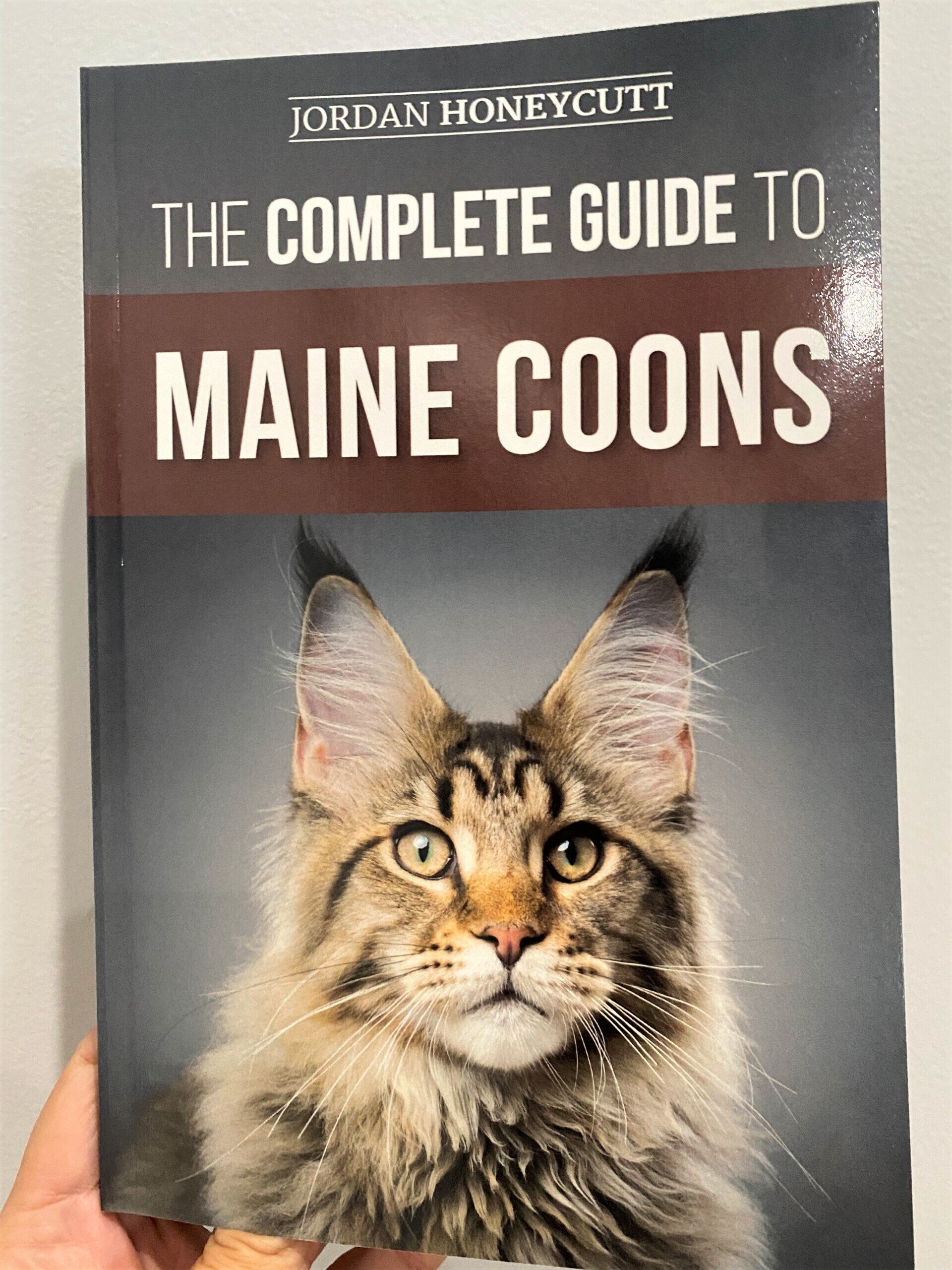 TICA or CFA Registered Maine Coons at Crescent Moon Maine Coons