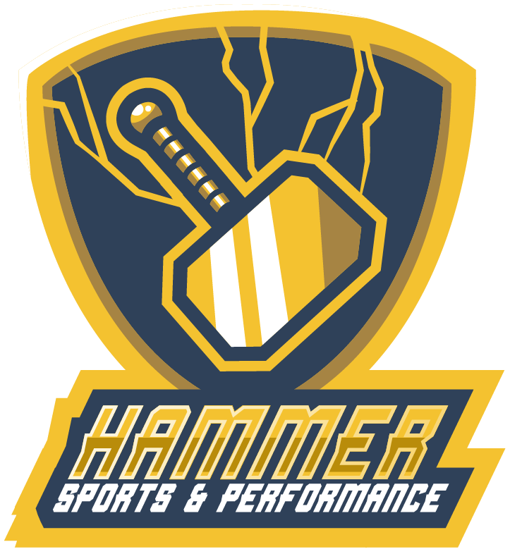 Hammer Sports and Performance: Hazlet Martial Arts