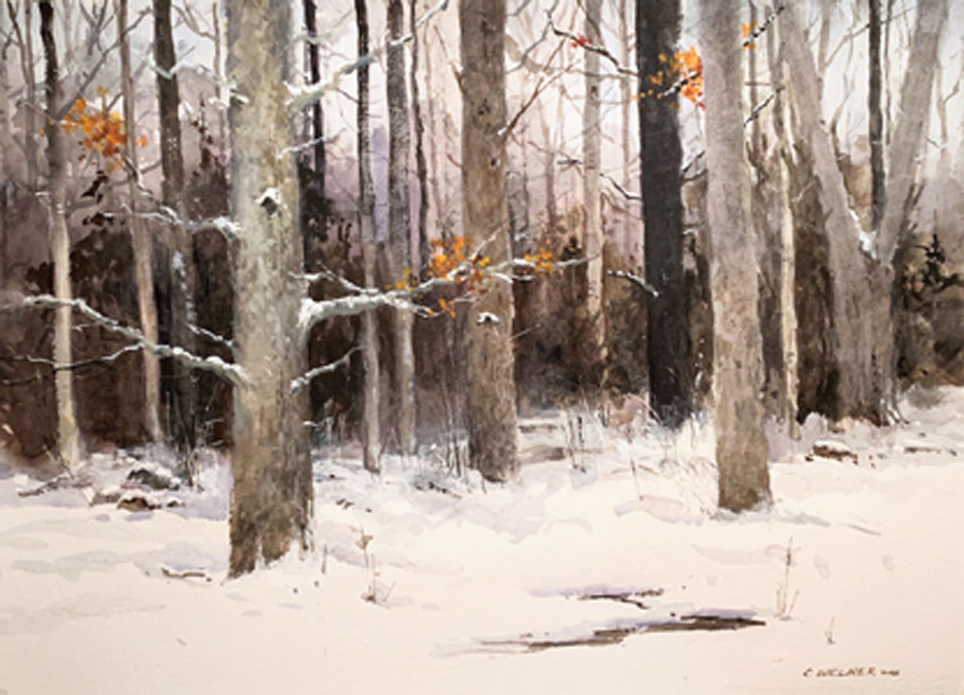 Watercolor Ohio 2020 | Annual Juried Exhibition