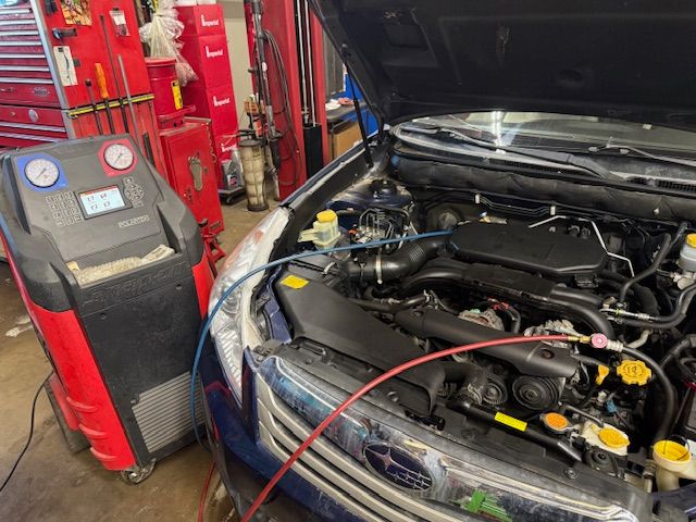 Kings Auto Fort Collins