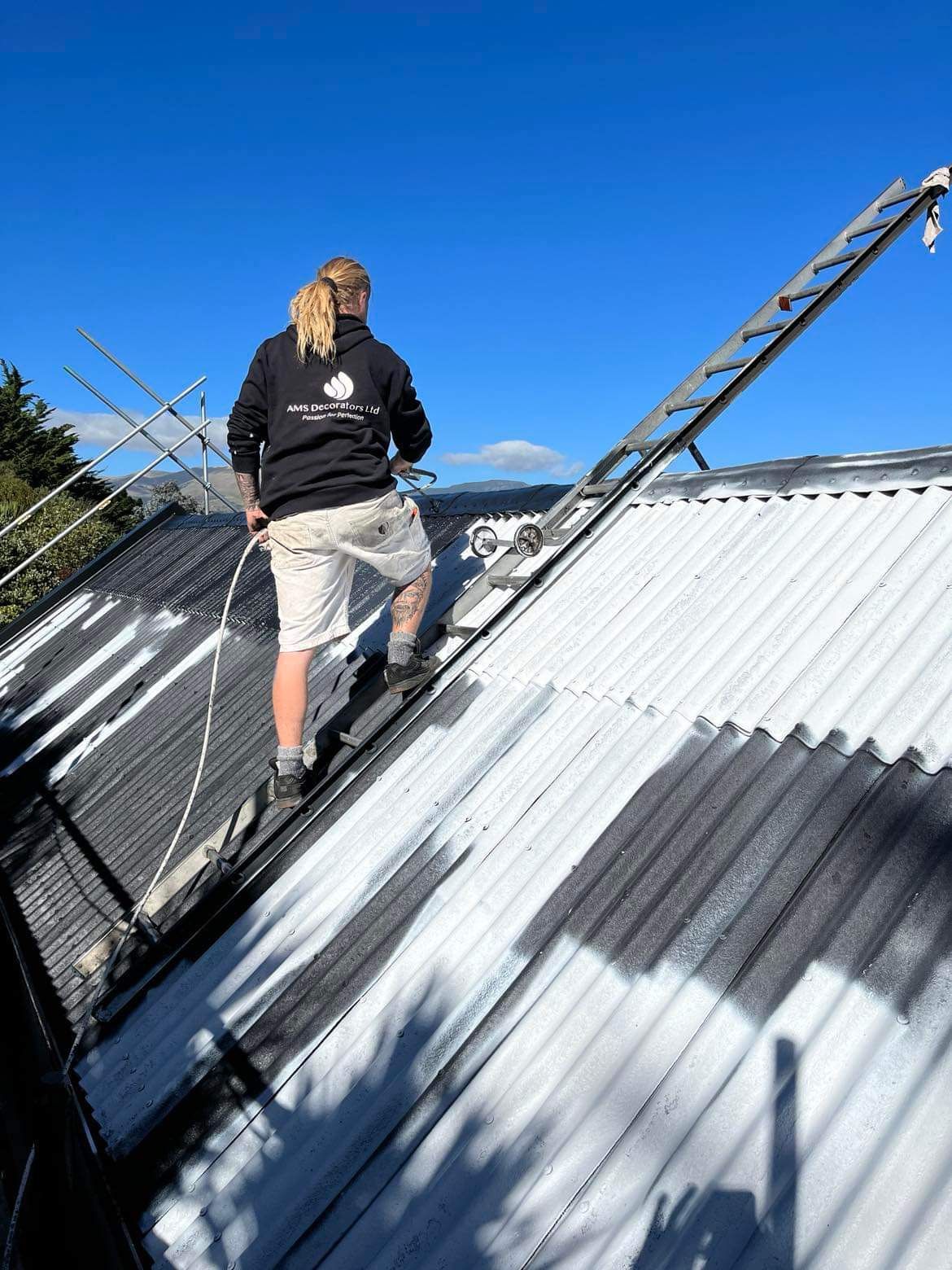 Wallpapering & Feature Walls | Expert Installation Services