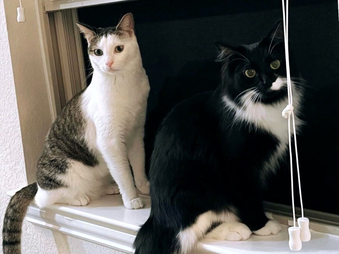 Mark & Kristin - Texas