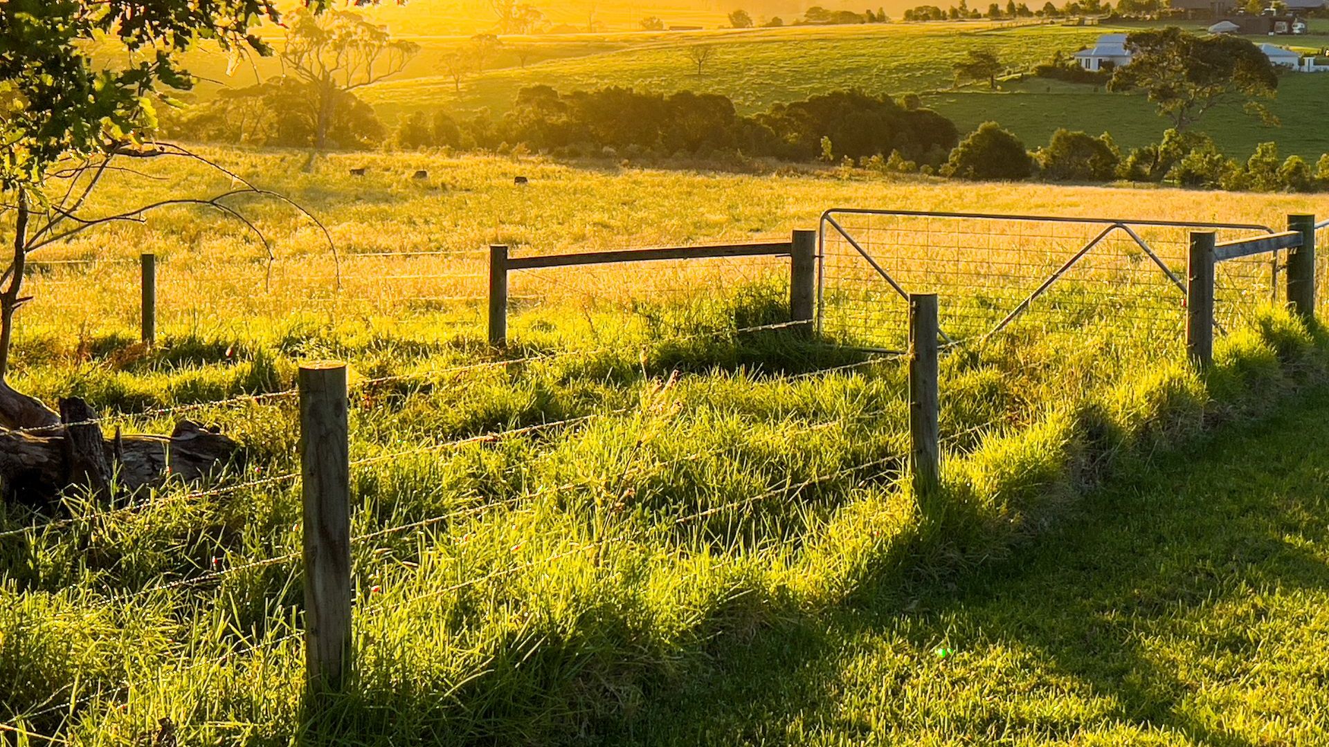 Steel Supplies Canberra & Queanbeyan | Fencing | Livestock Panels