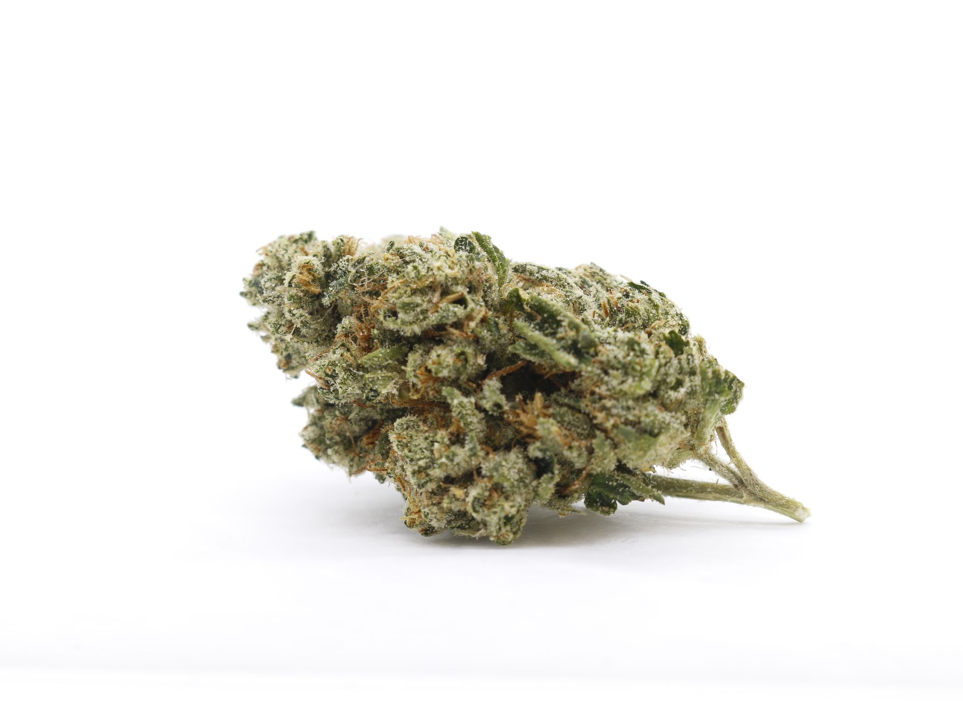 BEAR Labs | Cannabis Concentrate Products