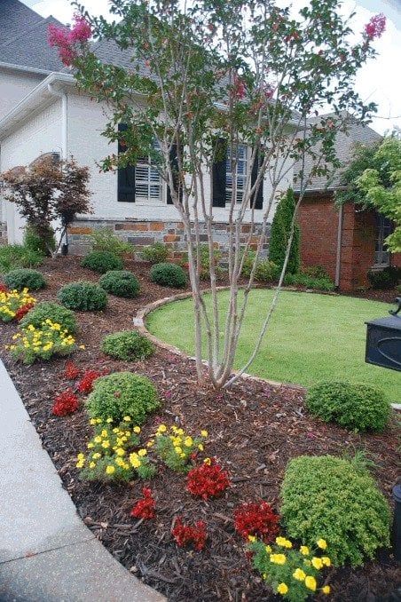 Gallery | Conway, AR | Buzz Landscaping