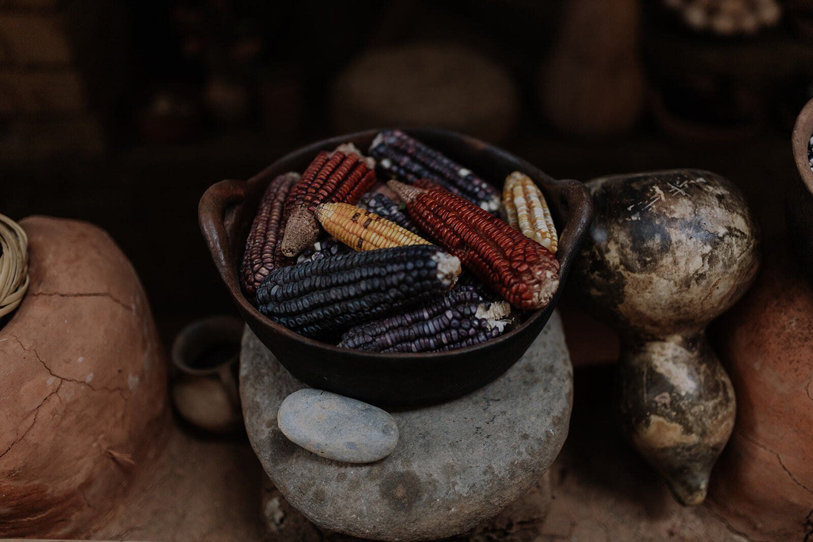 Inicio | La Cocina de Humo