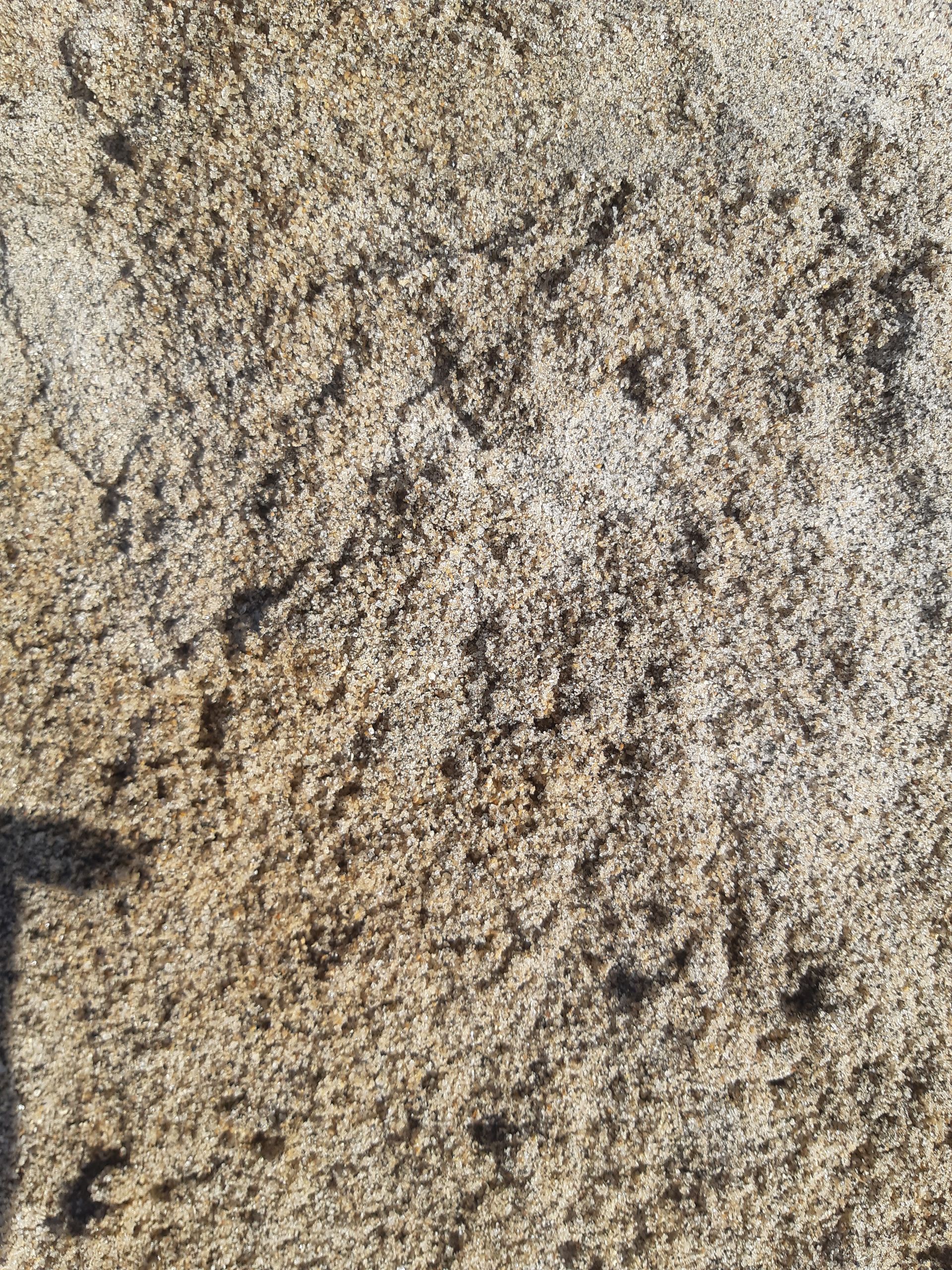 Agricultural contracting Taranaki – Westown Agriculture