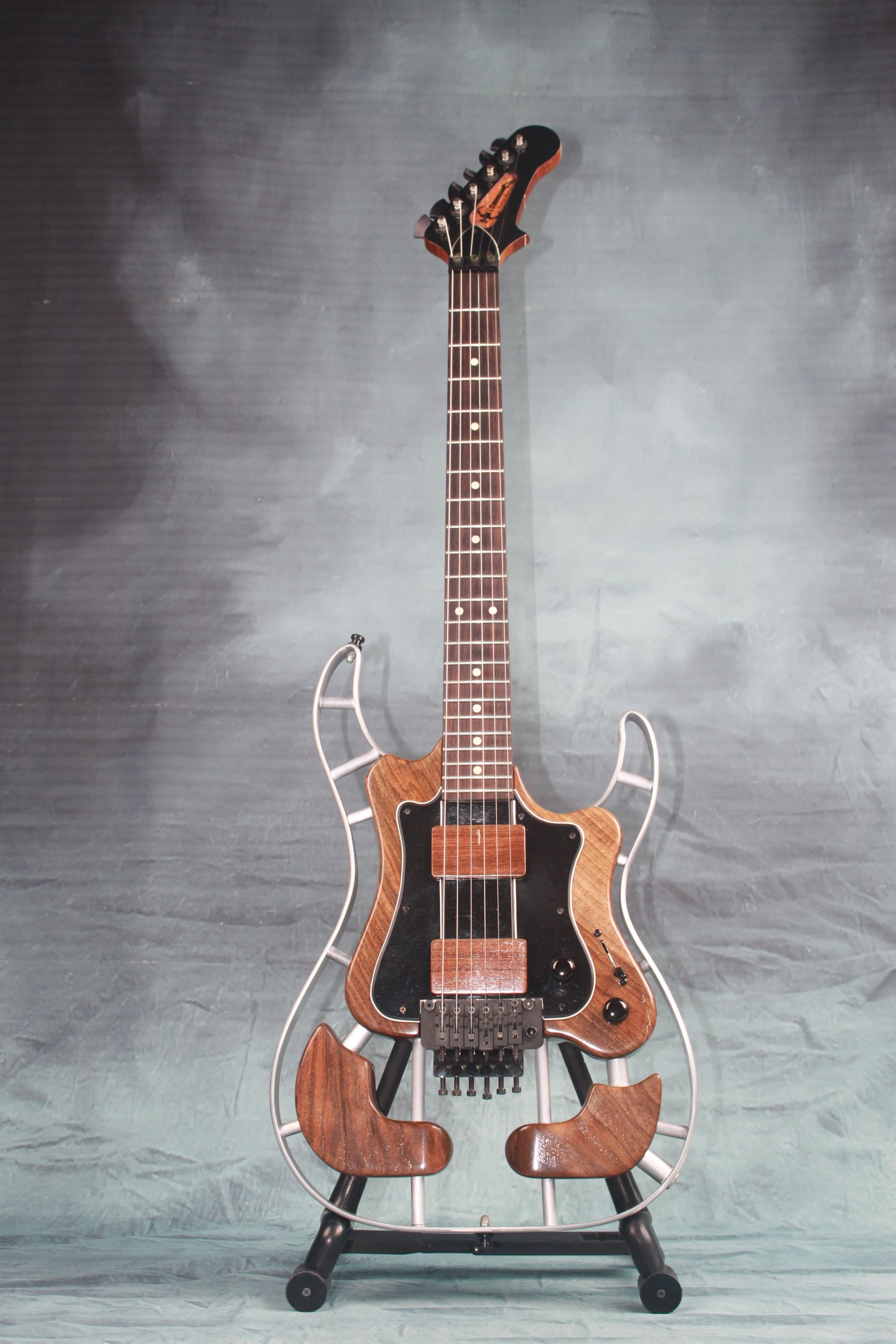 Evo Revolution - Custom Build Gitaar