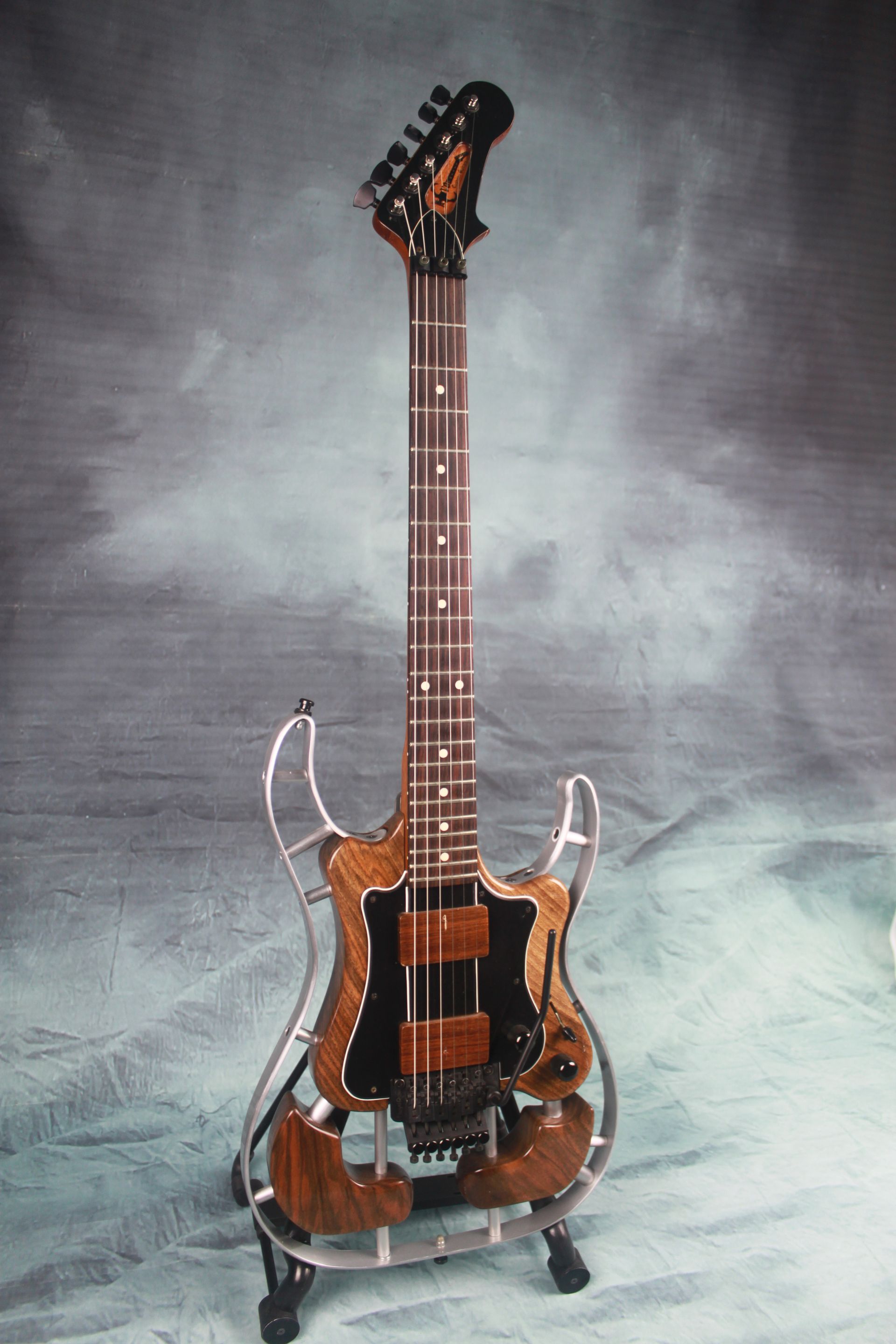 Evo Revolution - Custom Build Gitaar