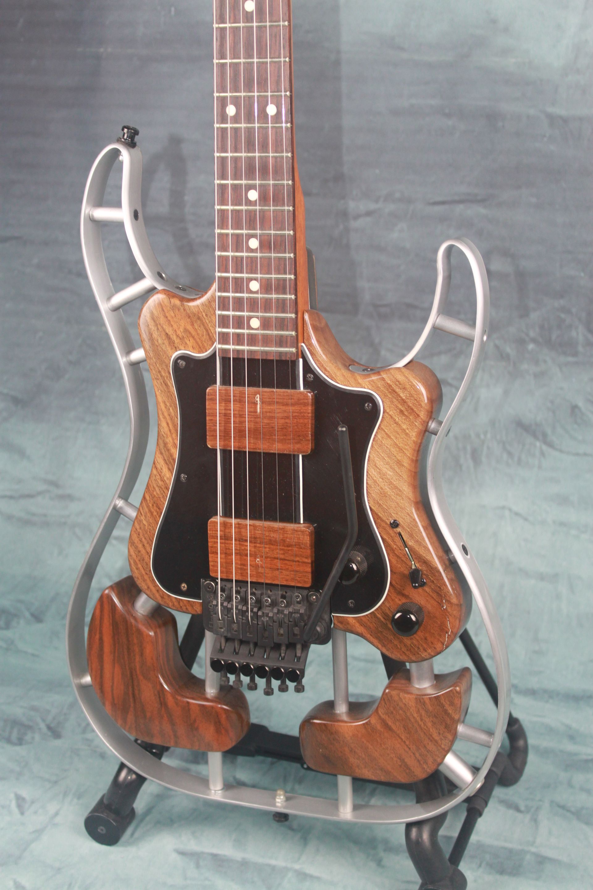 Evo Revolution - Custom Build Gitaar