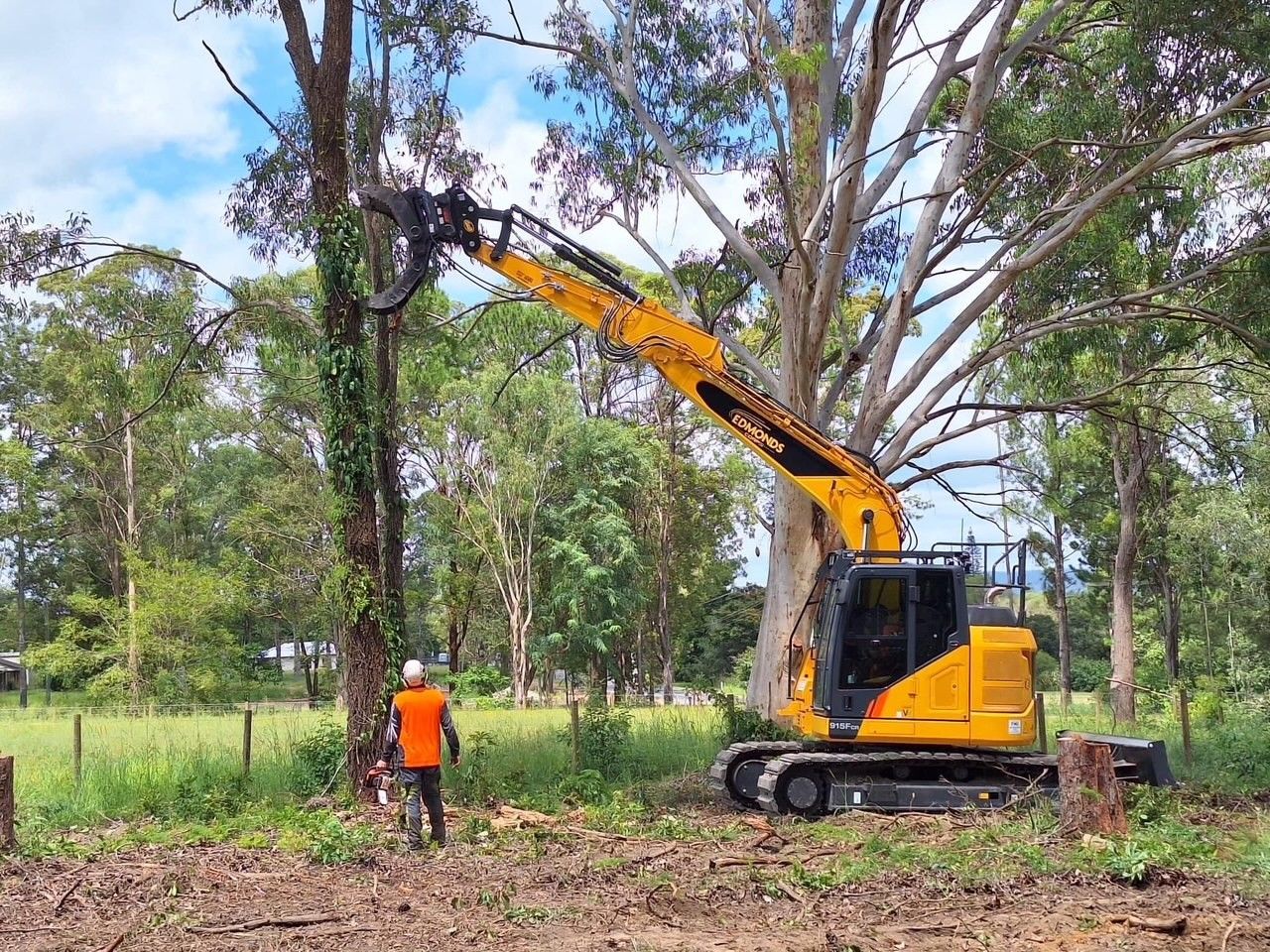 Tree Loppers Sydney | Qualified Arborists & Tree Services | Treepeeps ...