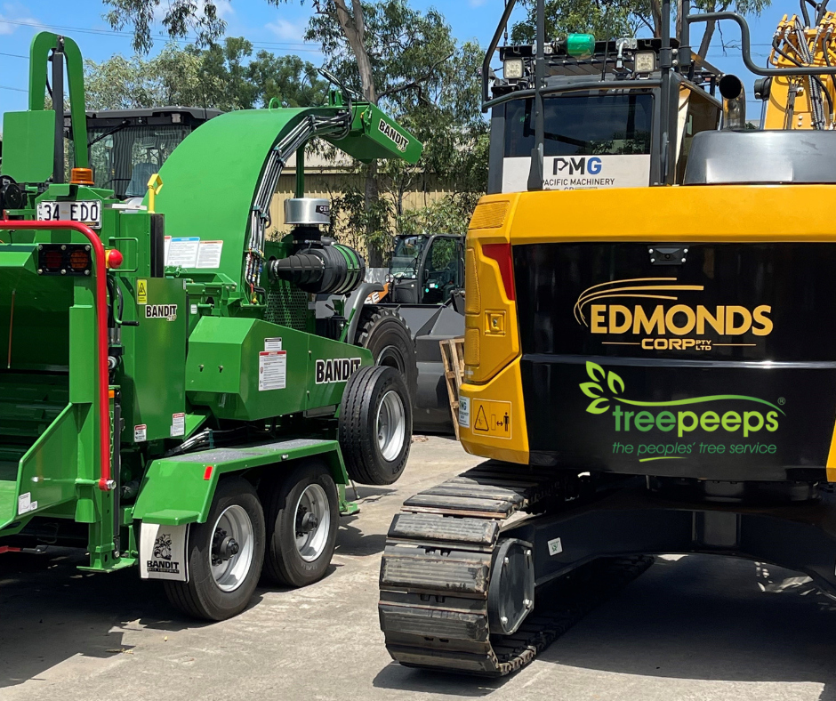 Tree Loppers Sydney | Qualified Arborists & Tree Services | Treepeeps ...