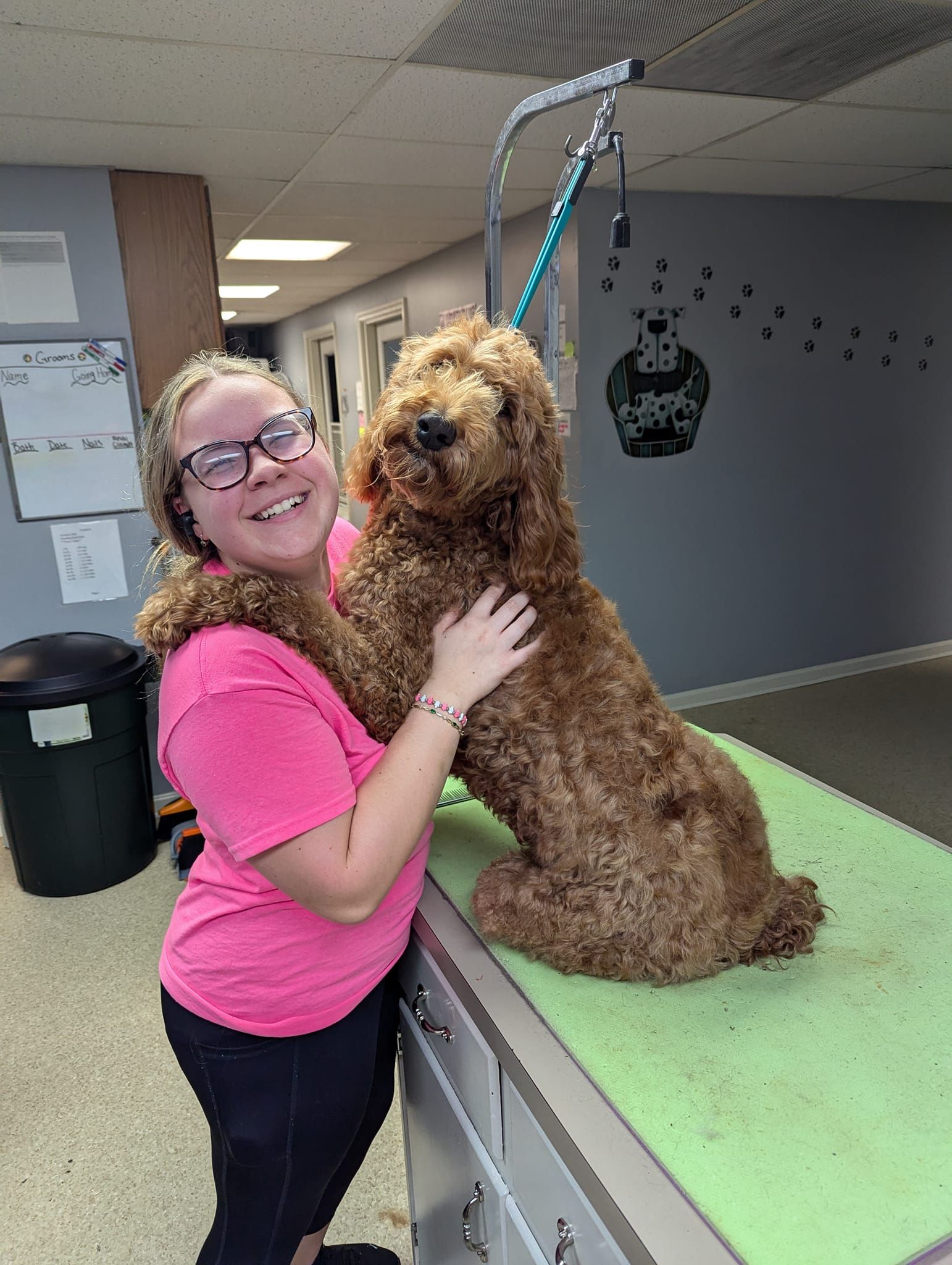 About Kelly's K9 Grooming LLC | Mount Vernon, IN