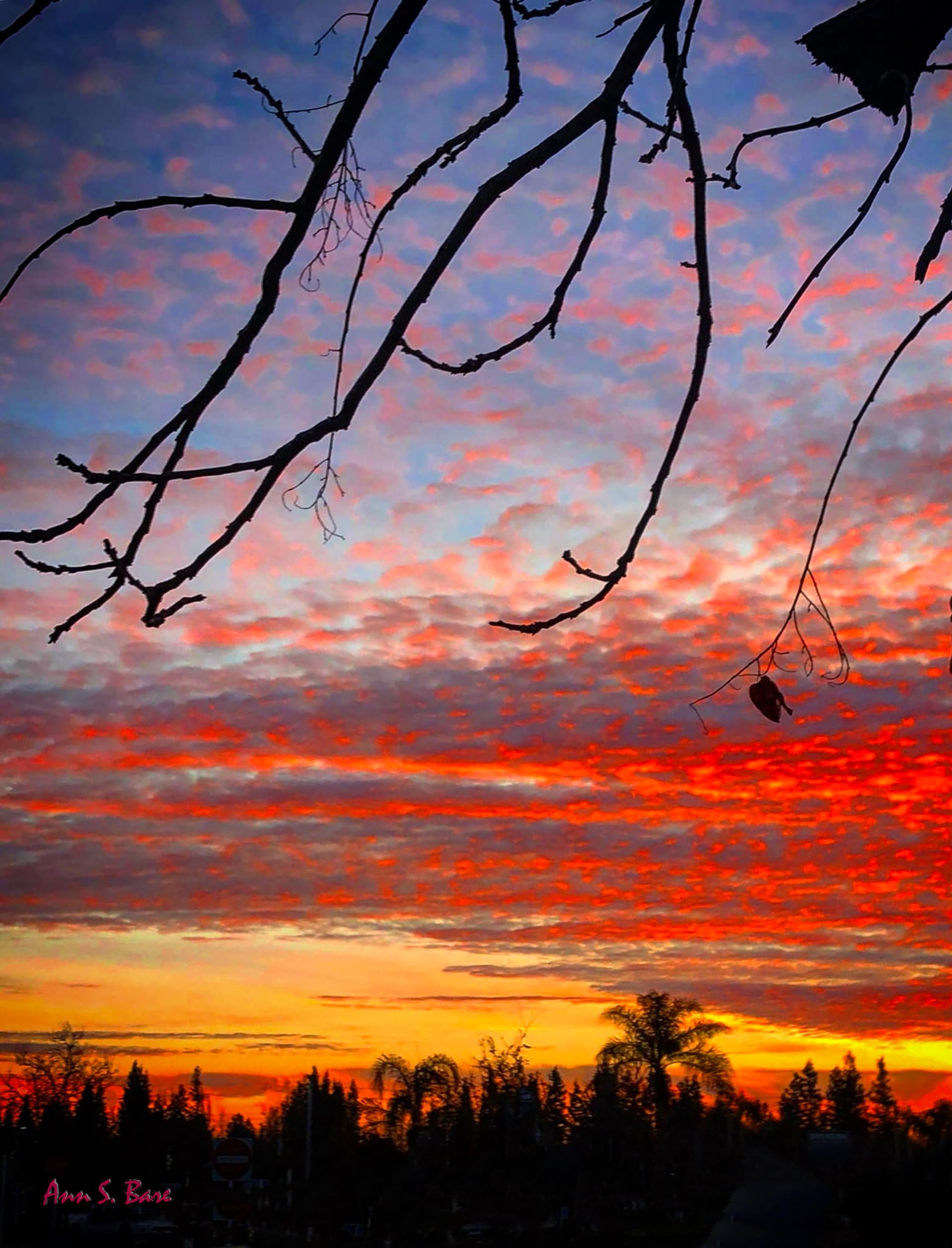 Anna Shellia Bare Photography | Local First Texoma