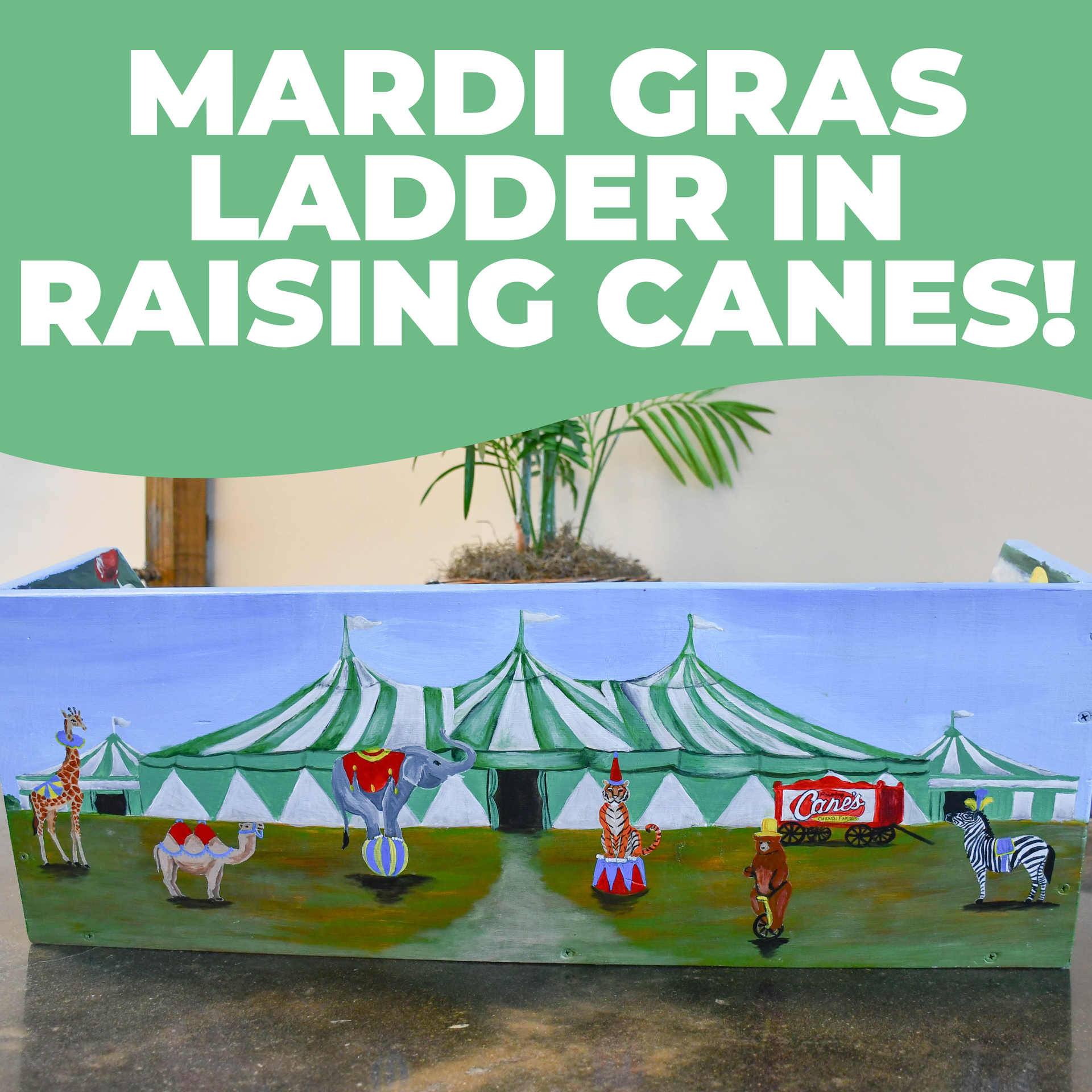 Check Out Our Ladder in Raising Canes!