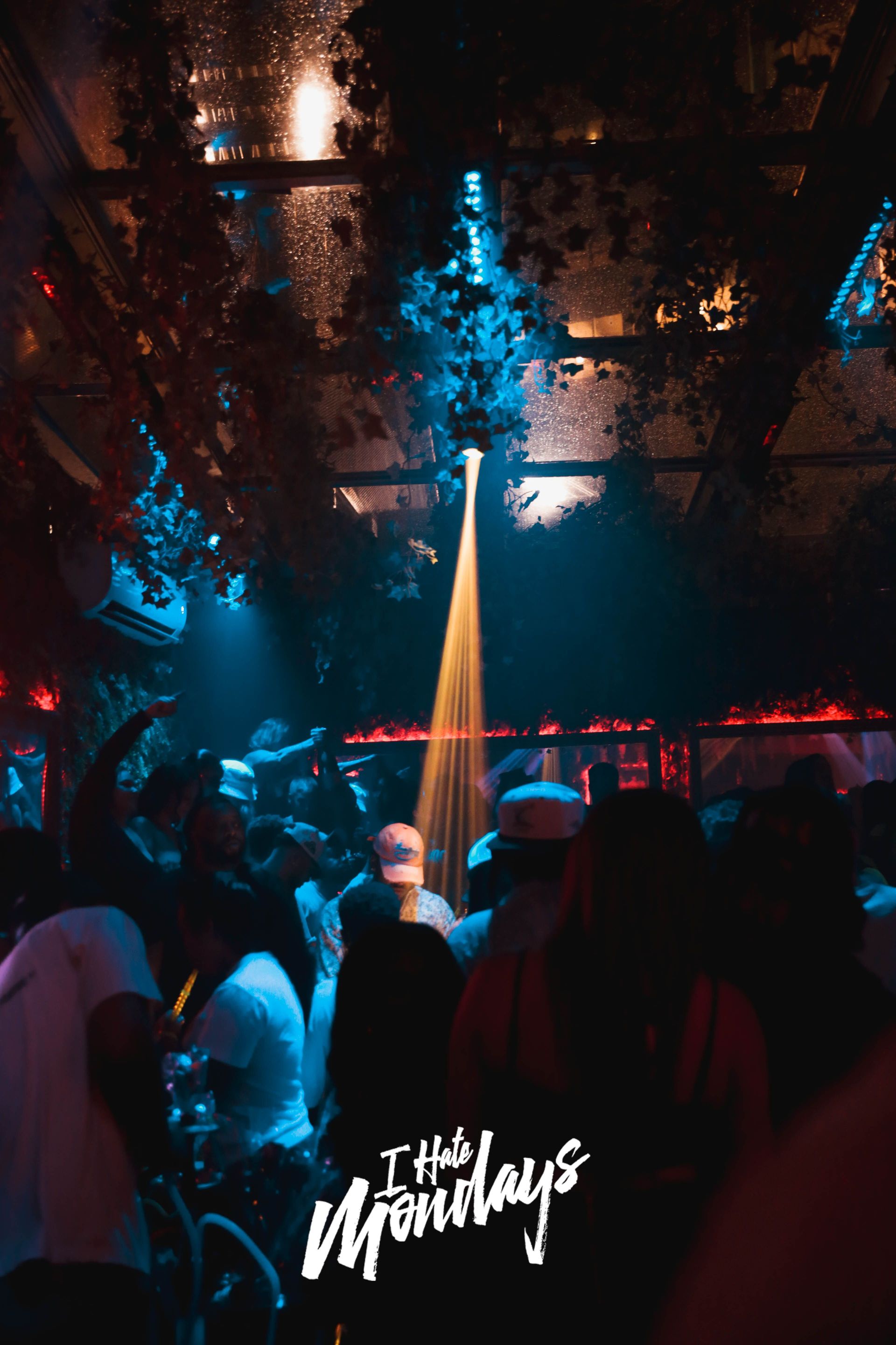 ROSEBAR DC - Monday Pictures | Night Club
