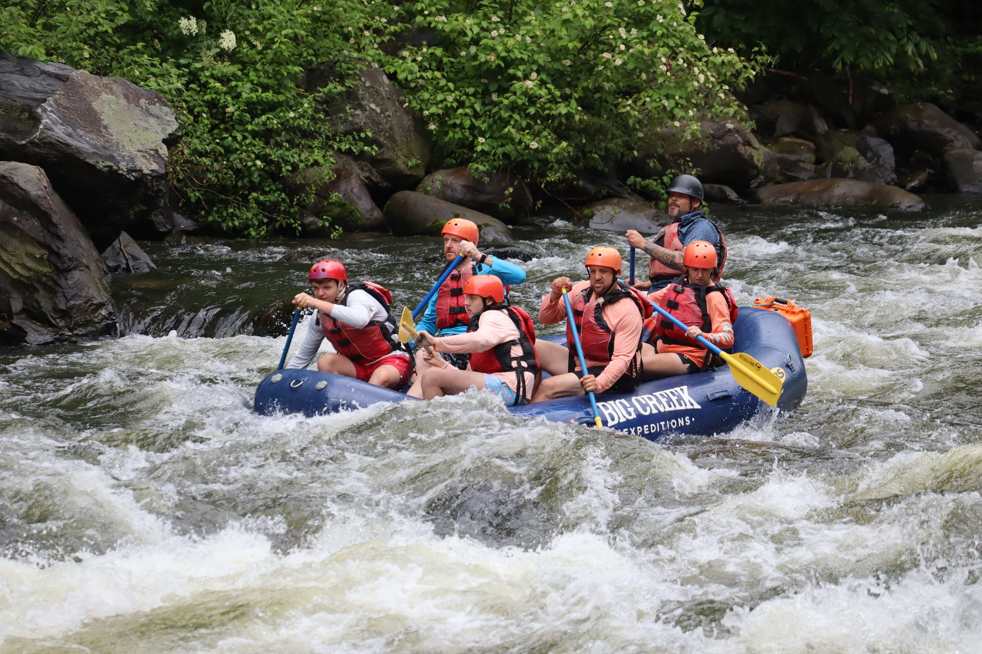 Pigeon River Whitewater Rafting Guides | Meet the Team