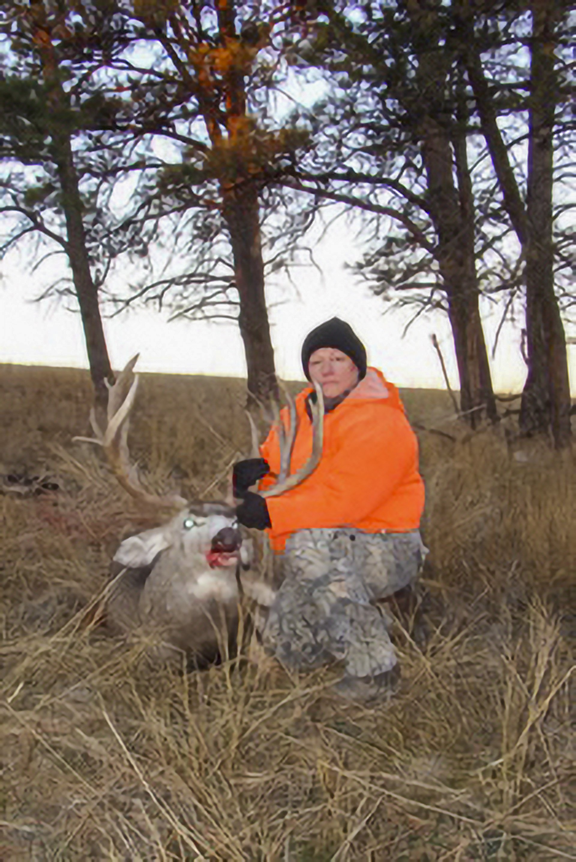 Gallery | Nebraska Elk Outfitters, Crawford, NE