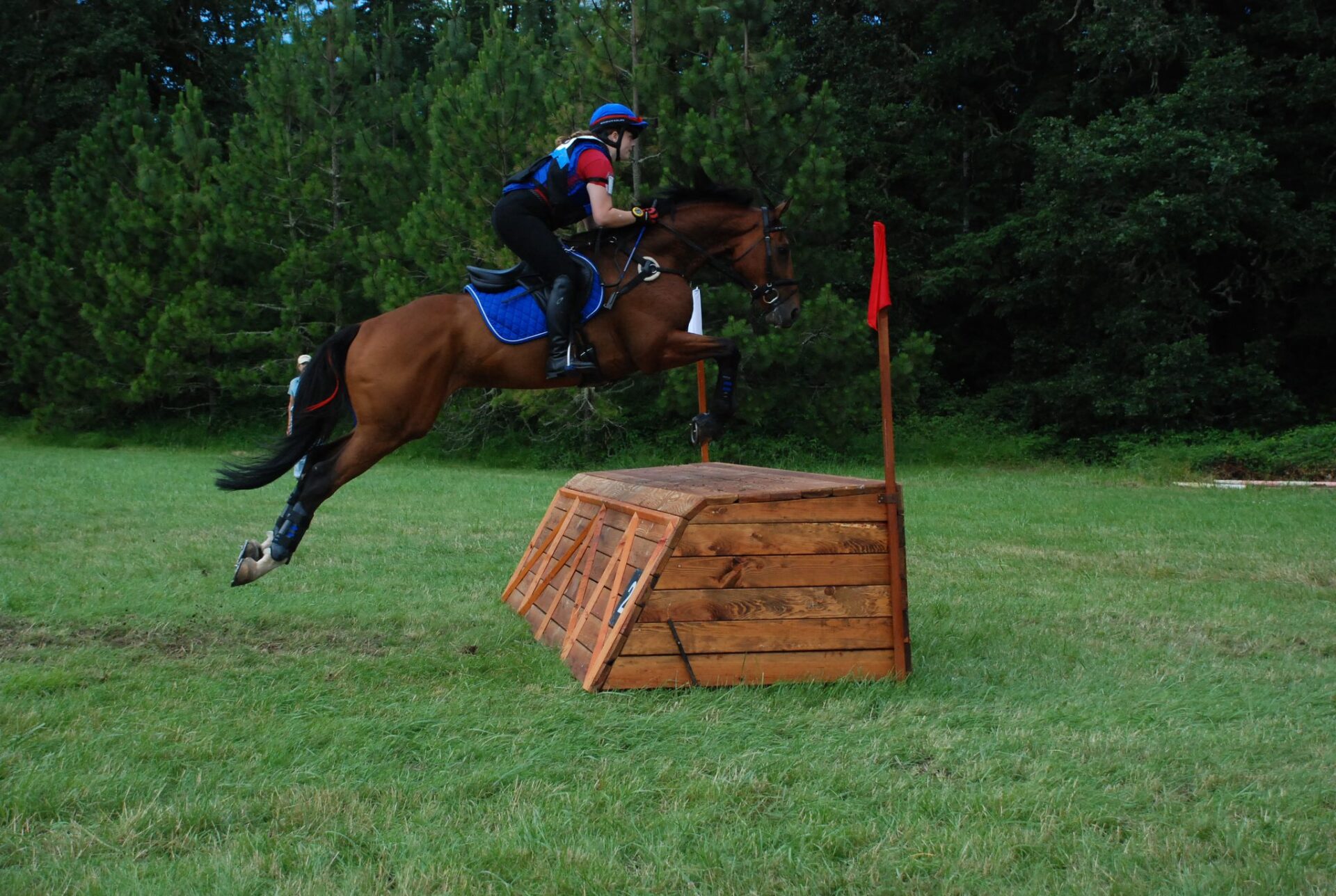 Equestrian Farm | Philomath, OR | Inavale Farm