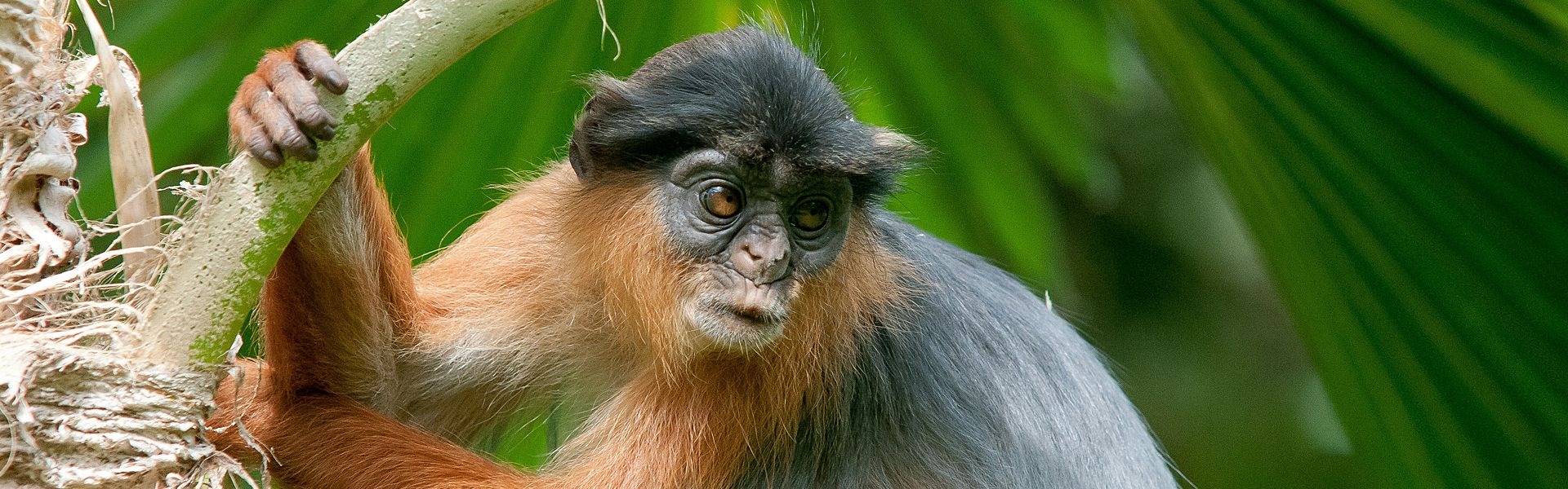 Join the Network | Africa DMC's | Network of Tour Operators & DMC's in ...