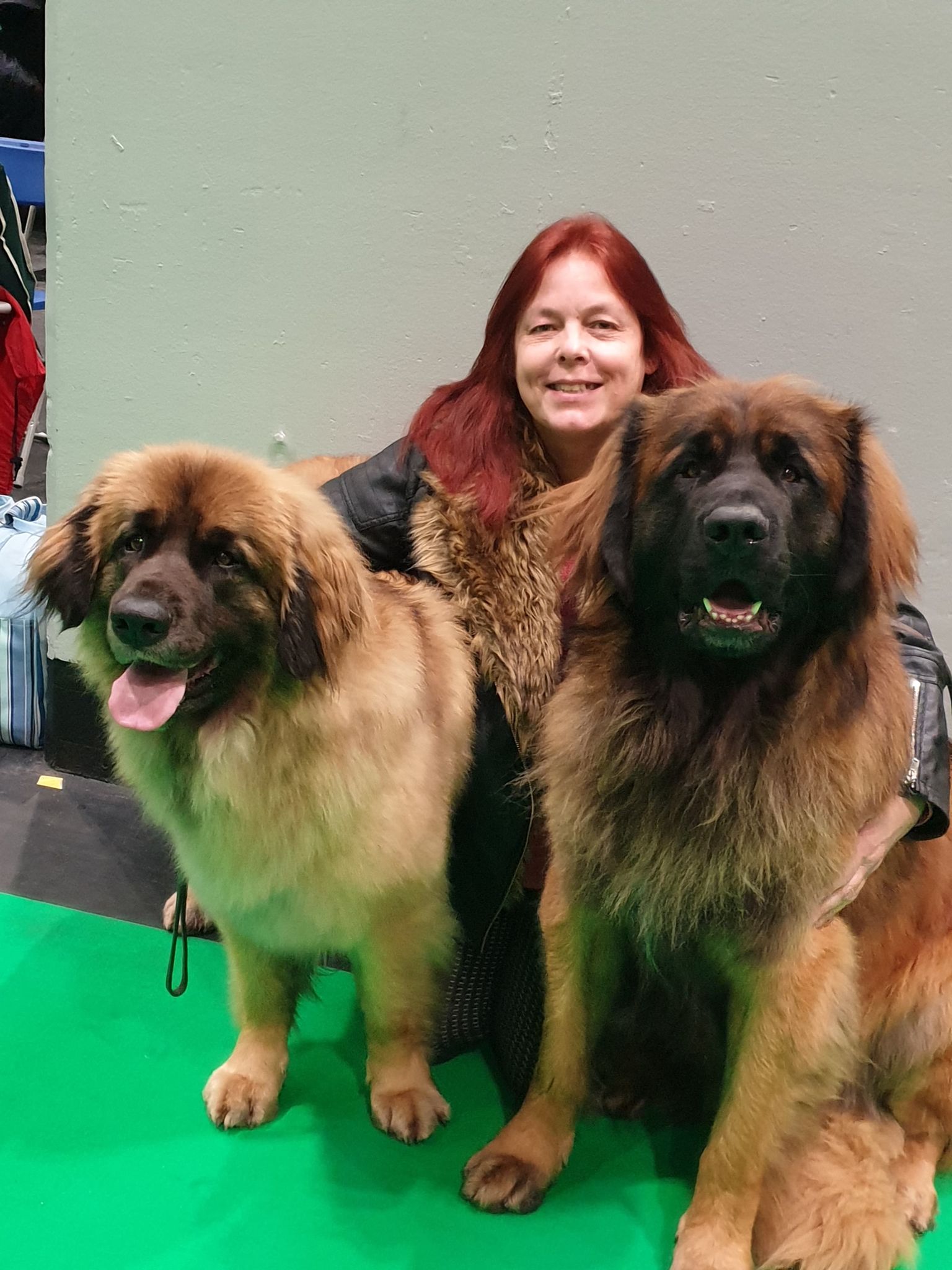 Leonberger Association Club