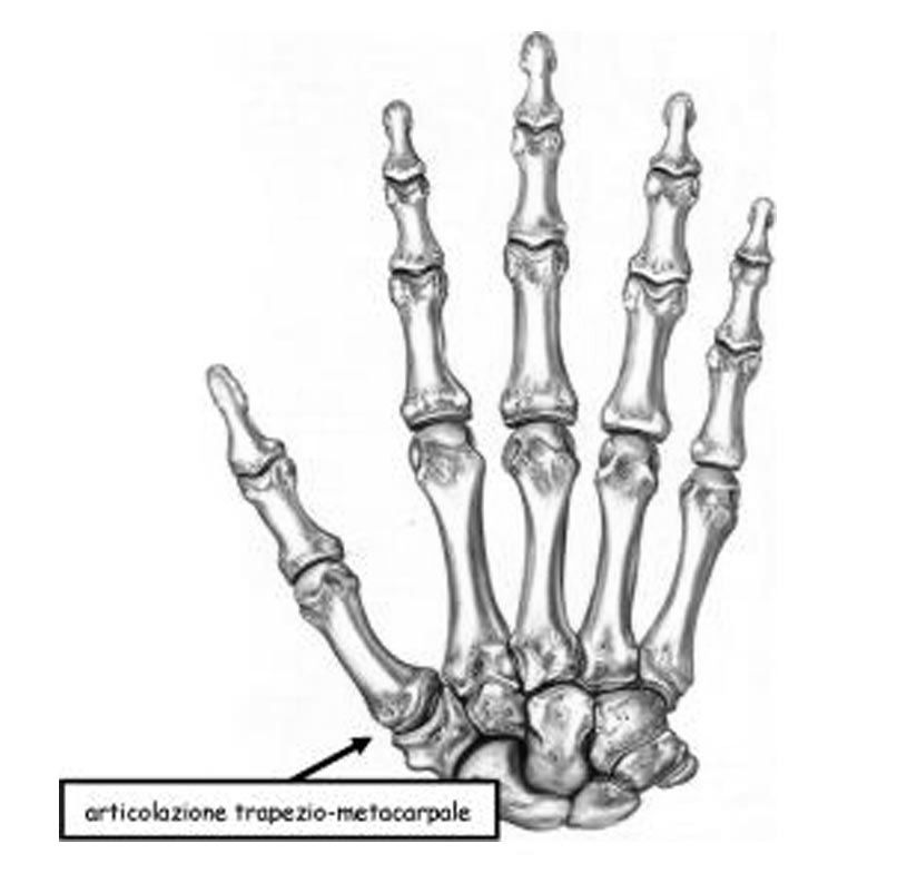 Chirurgo Ortopedico | Dott. Fagetti Alessandro | Varese