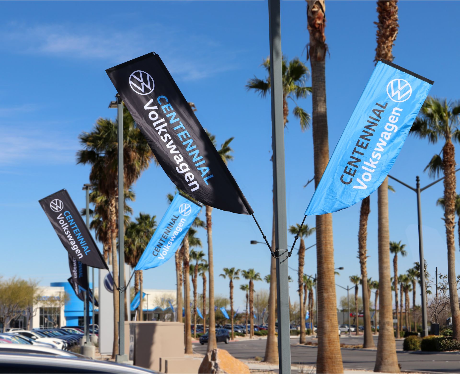 New & Used Car Lot Balloons At It's Best