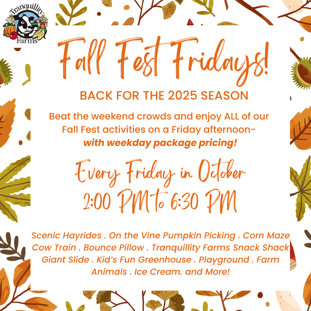 Fall Farm Events | Andover, NJ | Tranquillity Farms