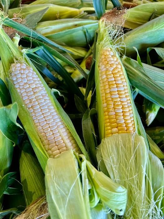 Farm Market | Andover, NJ | Tranquillity Farms