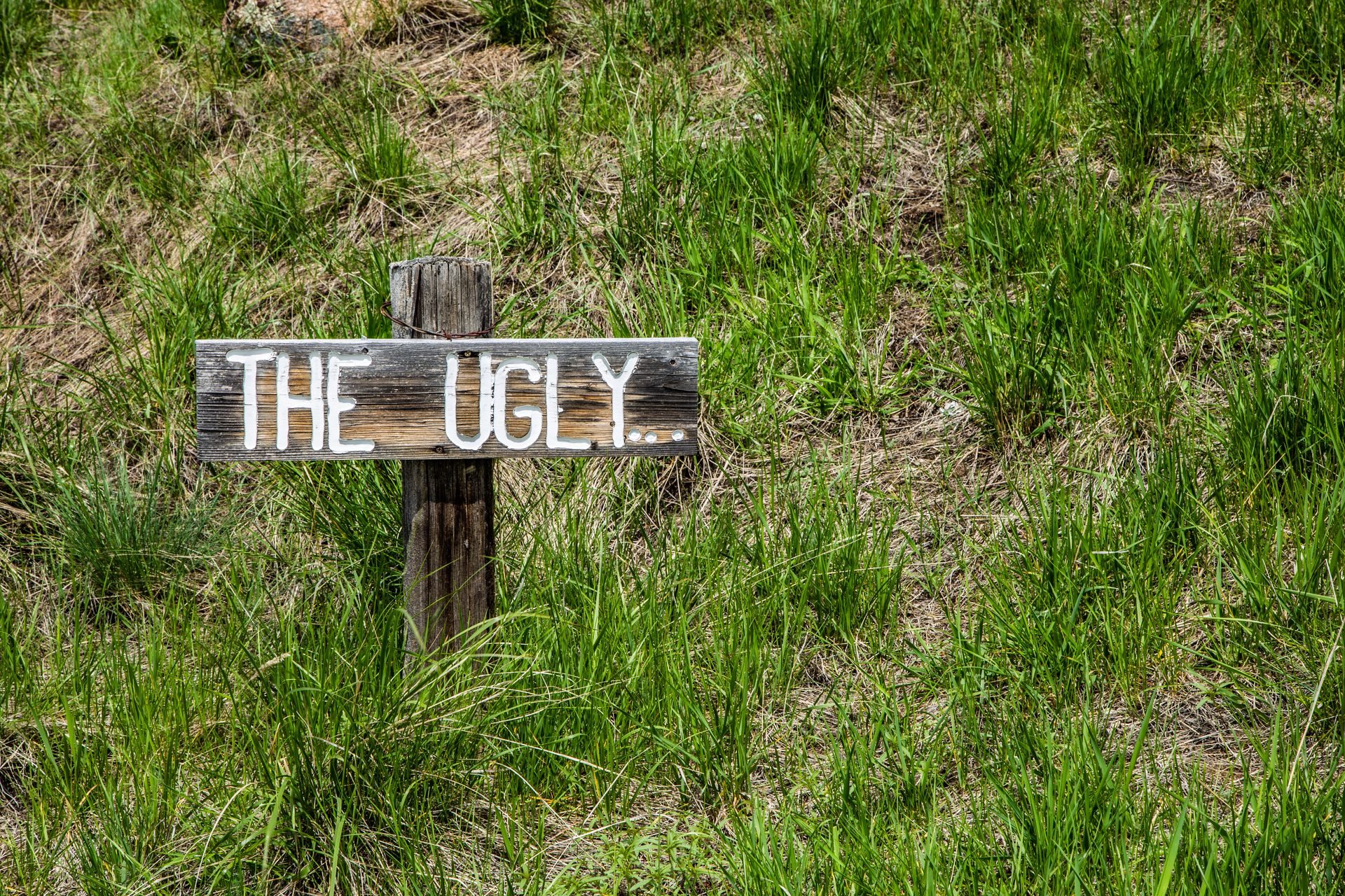 Photo Gallery | Rock Creek Cattle Company