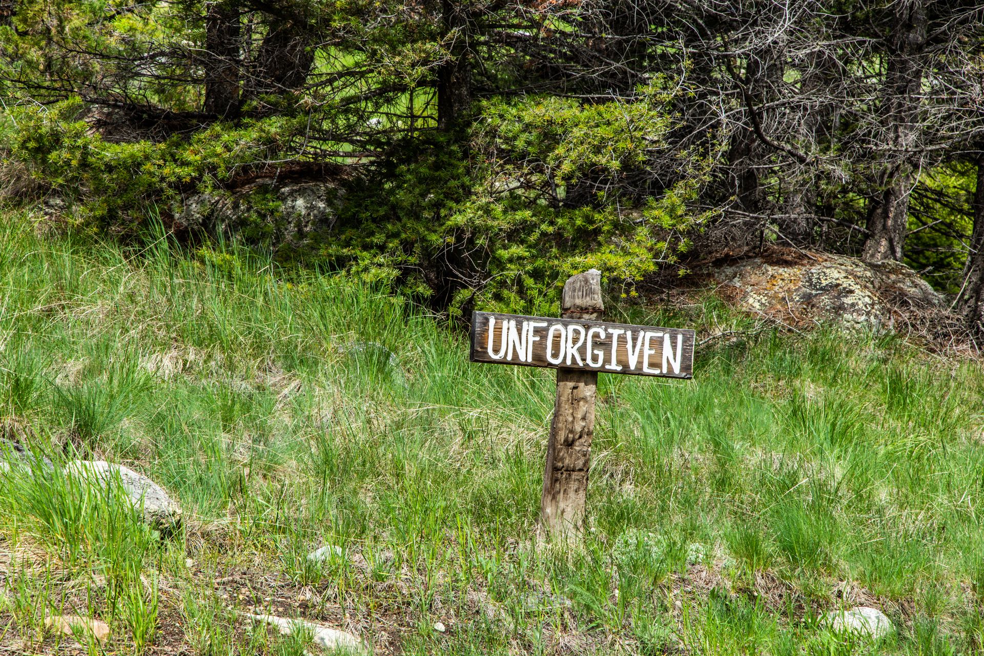 Photo Gallery | Rock Creek Cattle Company