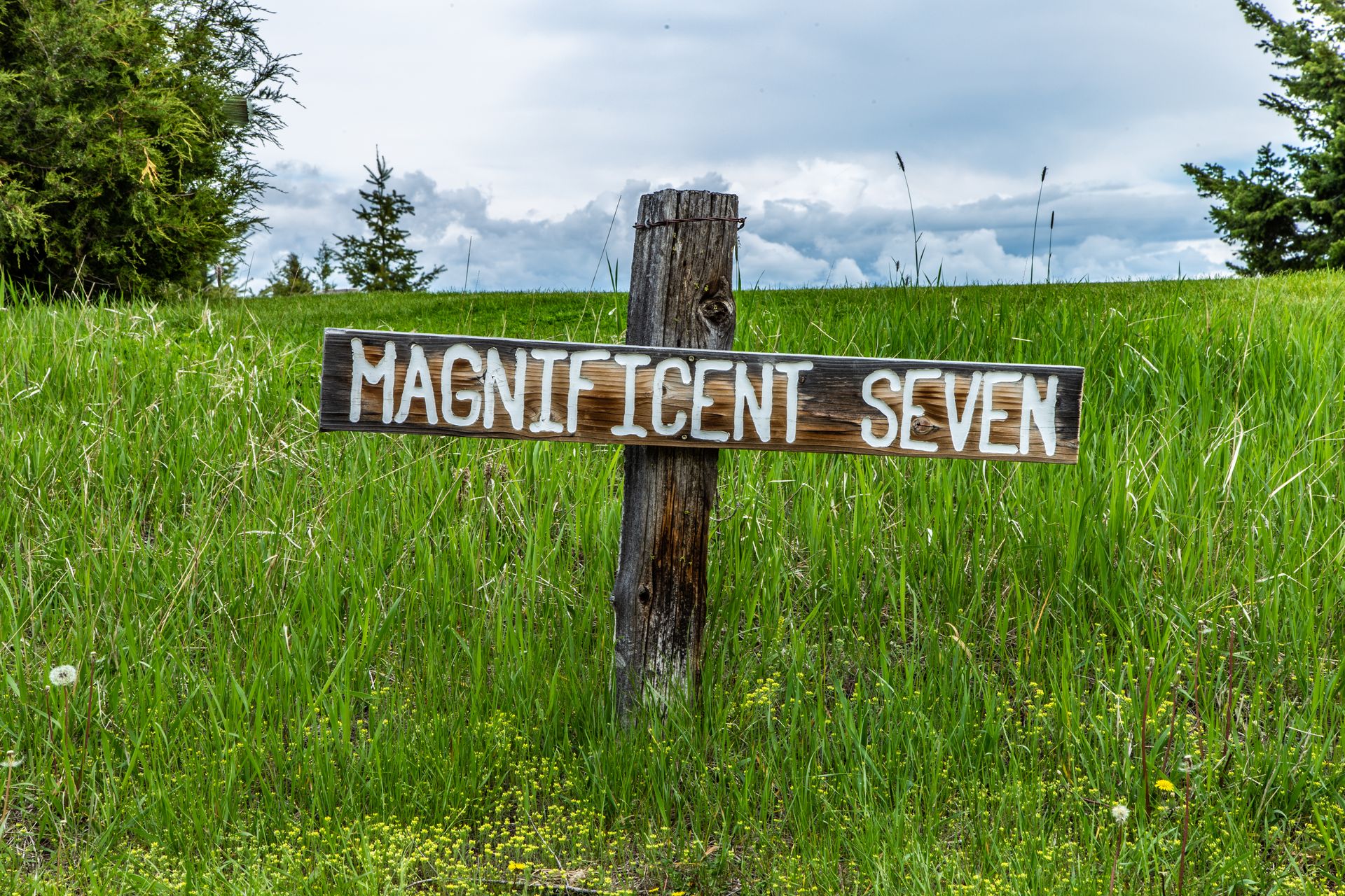 Photo Gallery | Rock Creek Cattle Company