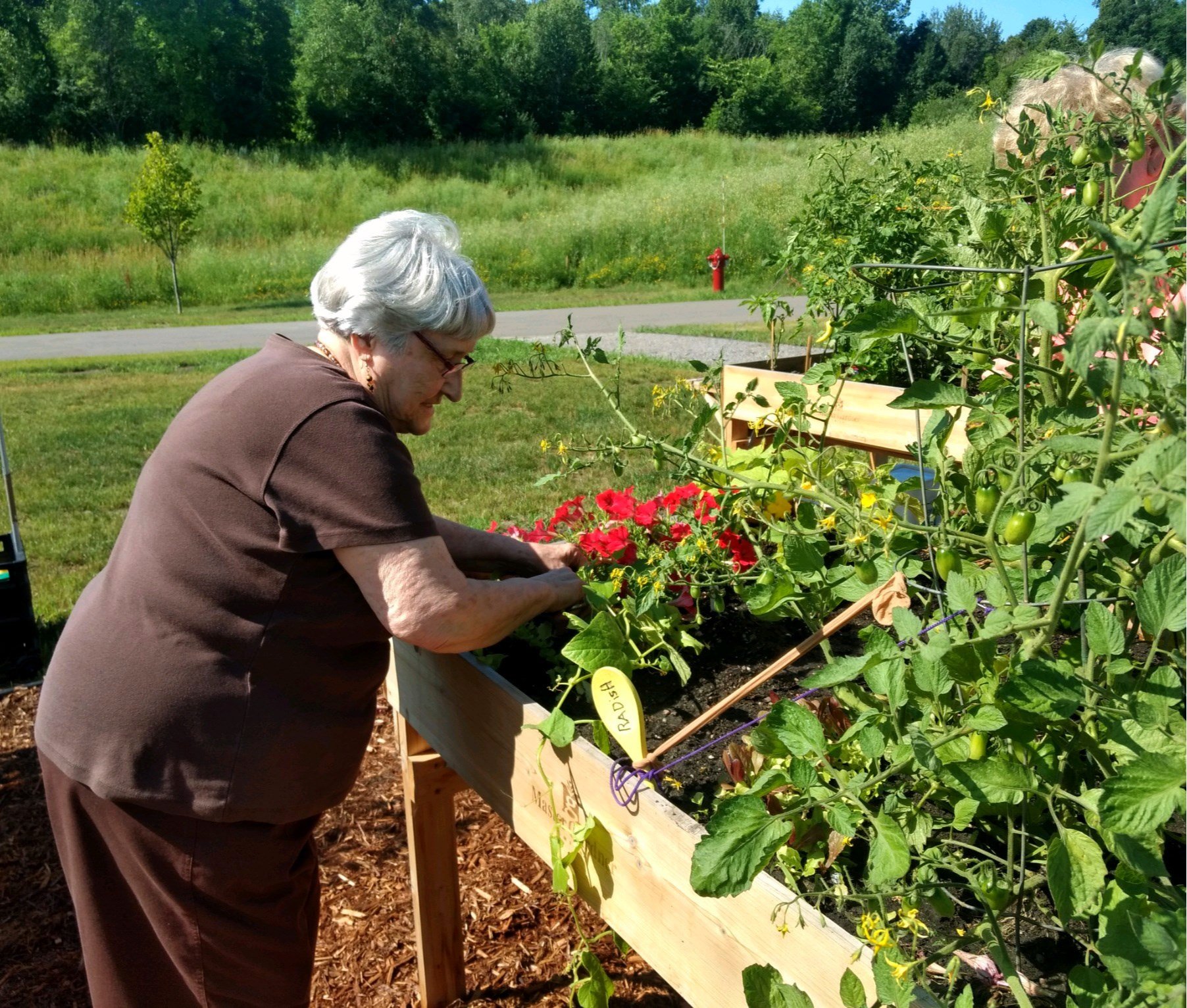 The Country Manor Foundation | Enriching Lives - Country Manor