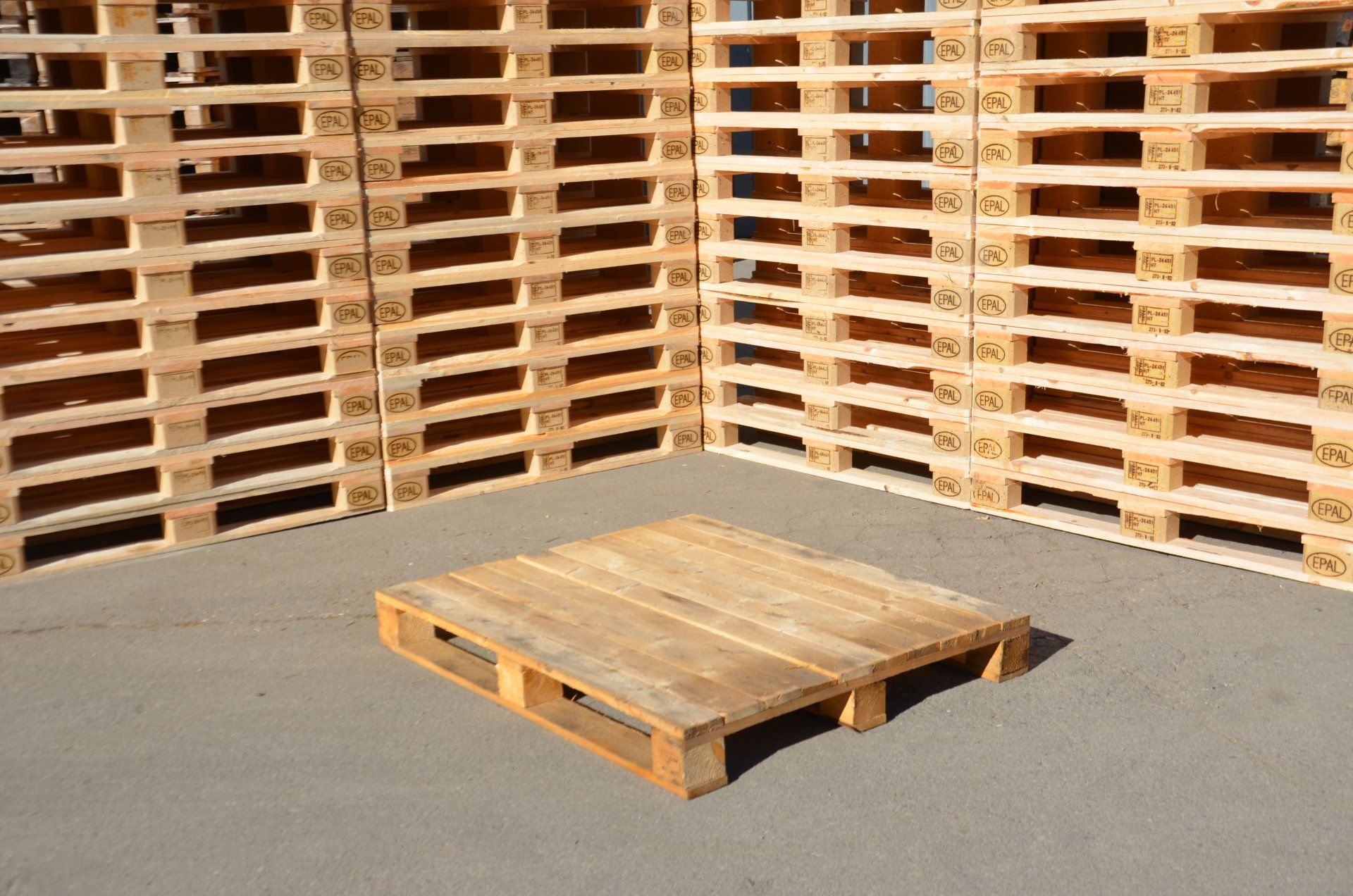Pallet legno a Vignola | Dario Bergonzini
