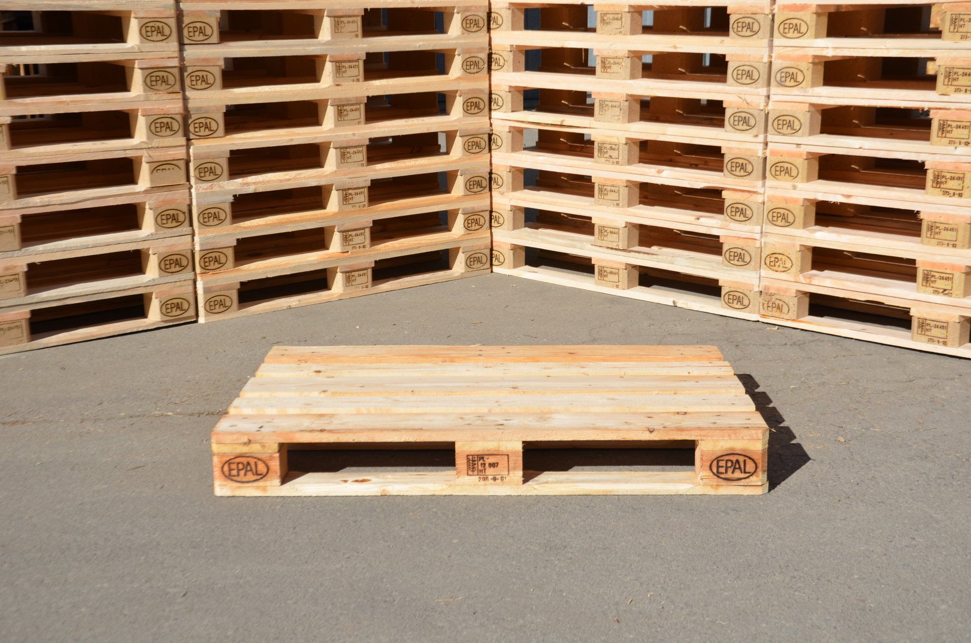 Pallet legno a Vignola | Dario Bergonzini
