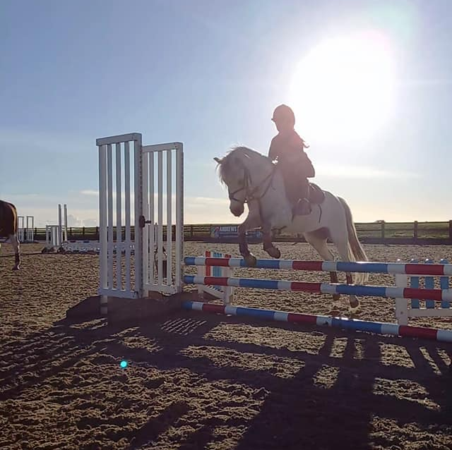 Bank Farm Riding School – learn to ride in Stockport