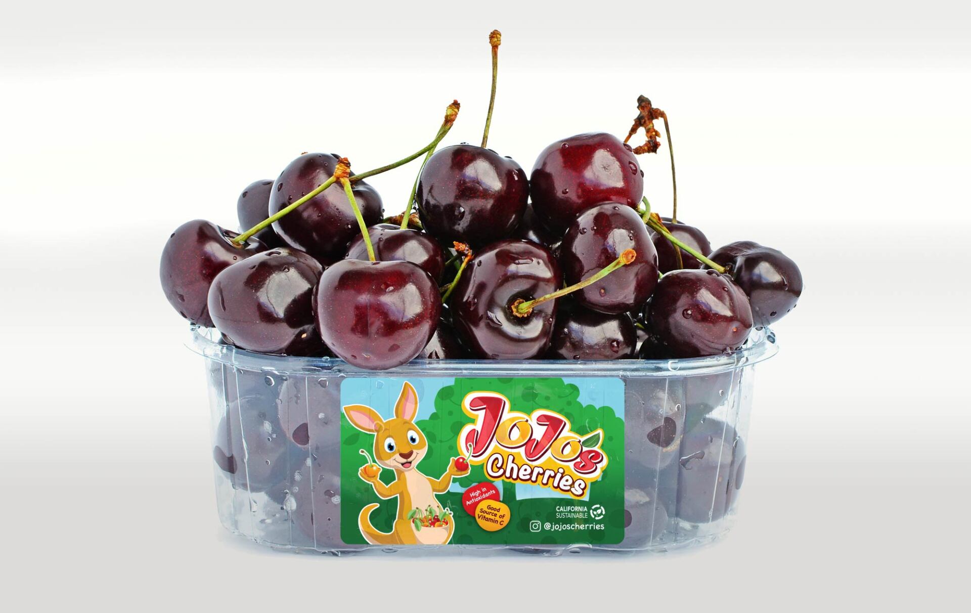 TedderMedia Design Services | Creative Problem Solver