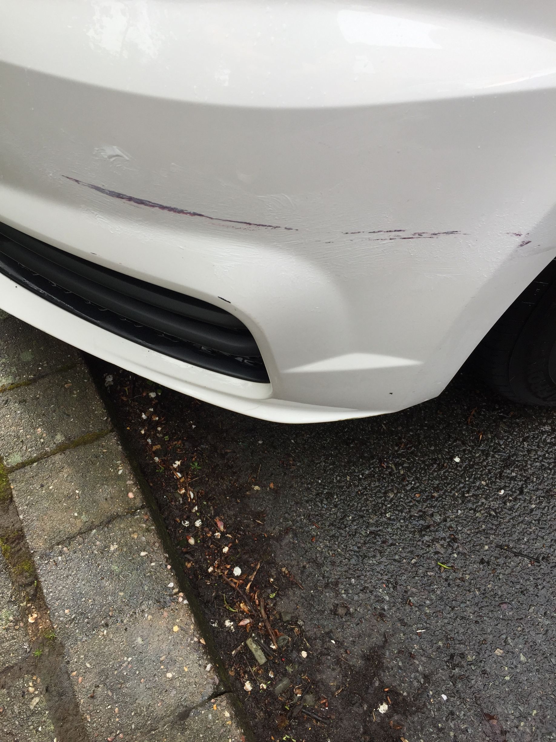 Bumper Scuff Removal - FREE SERVICE!
