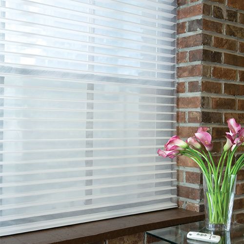 Top 10 Dog-Proof Window Blinds | Love Is Blinds TX