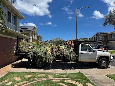 Oahu Tree Trimming & Tree Removal Experts | Top Service