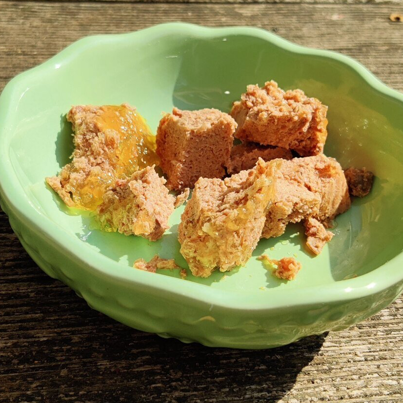 Help! Mijn kat eet poep!