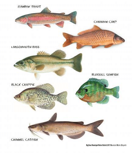 Red River Gorge Fishing