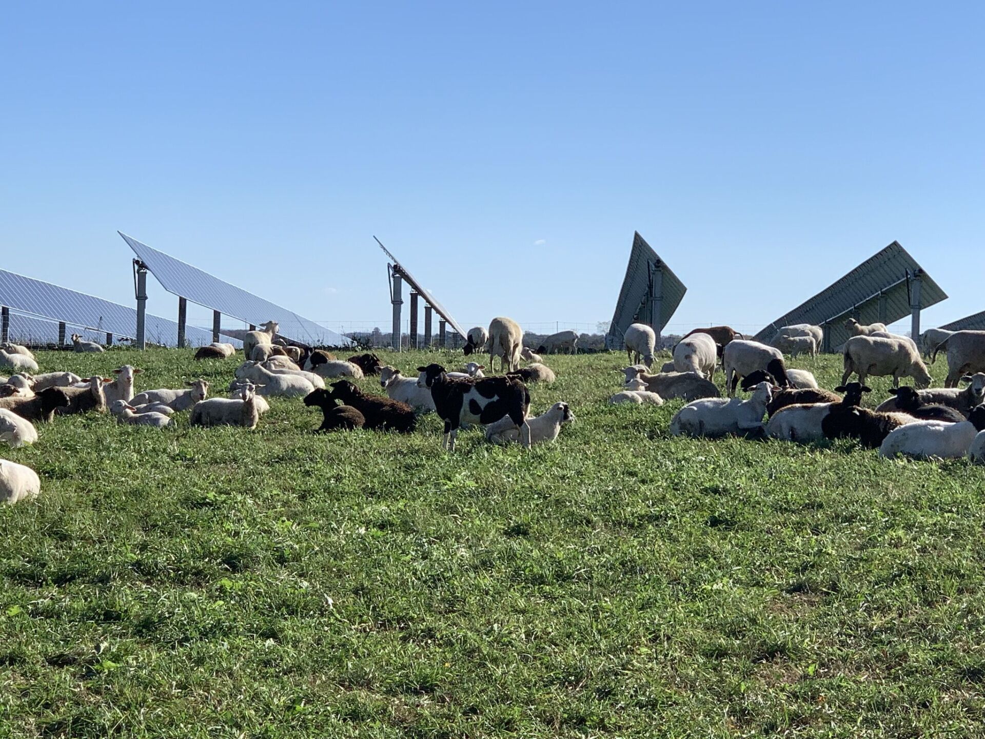 ARM Group toured the Nittany 1 Solar Project!