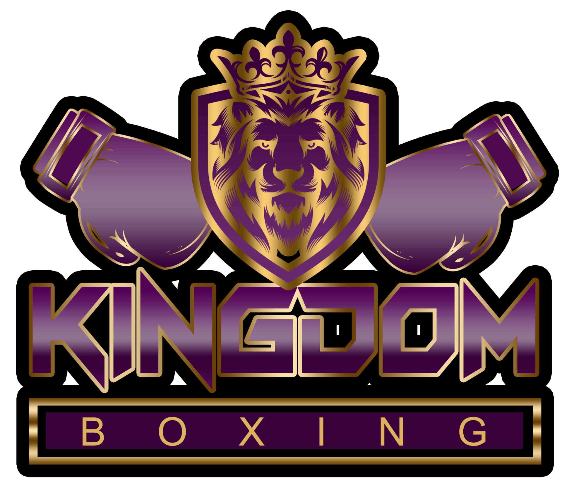 Texas Boxing Promoters Boxing Dallas Kingdom Boxing Dallas Rounds texas-boxing-promoters-boxing-dallas-kingdom-boxing-dallas-rounds