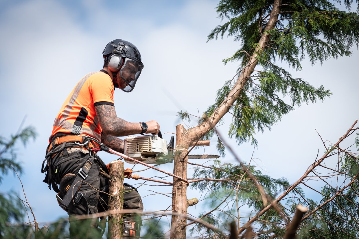 Tree Services – Columbus, OH – A Woman’s Touch Tree Care