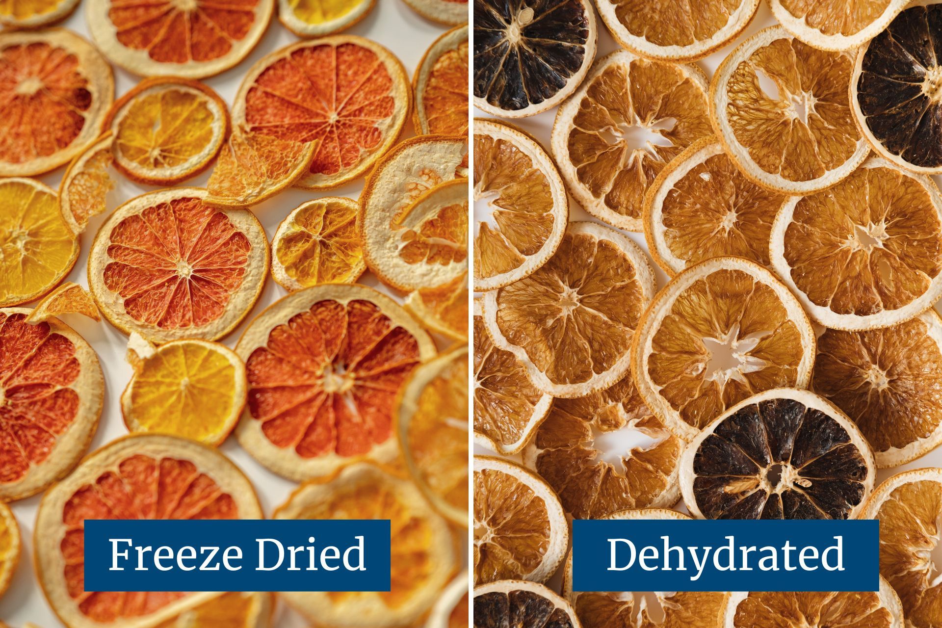 All About Freeze Drying | Country Freeze